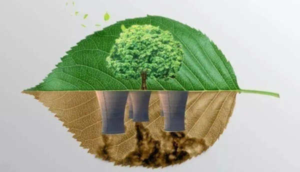 生物塑料崛起！PLA、PHA、生物基聚烯烃受关注，下半场机遇是什么？-行业前沿|Chatplas|塑料在线