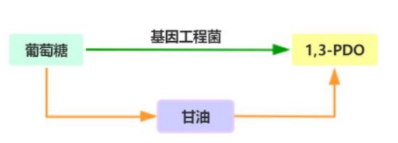 生物基PDO、PTT纤维是什么？怎么生产？有什么用途？-行业前沿|Chatplas|塑料在线