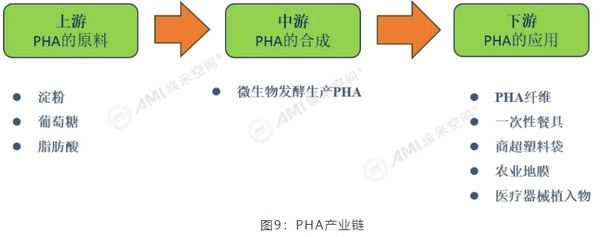 可降解材料PLA、PHA、PBAT...2025年的现状与未来展望-行业前沿|Chatplas|塑料在线
