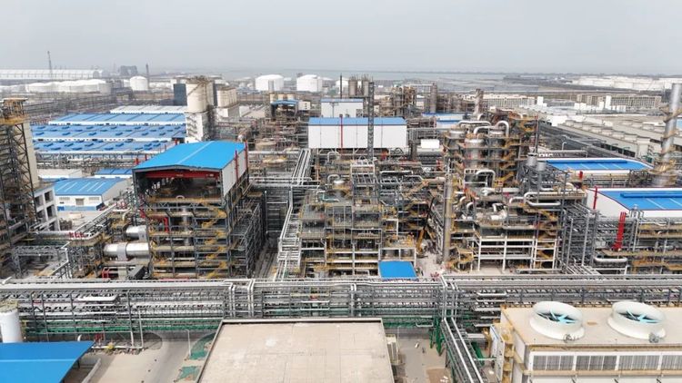 中国首套本地化PTA压缩机组成功交付-大厂动态|Chatplas|塑料在线