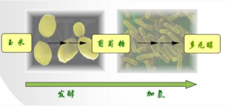 生物基PDO、PTT纤维是什么？怎么生产？有什么用途？-行业前沿|Chatplas|塑料在线