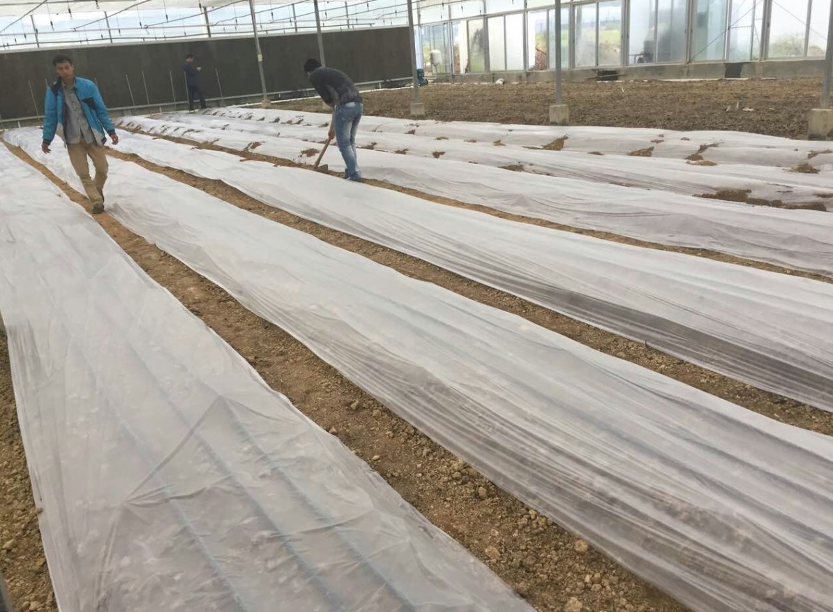北化院推出PBST地膜，已在新疆铺置800亩-行业前沿|Chatplas|塑料在线