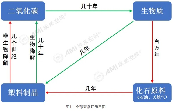 可降解材料PLA、PHA、PBAT...2025年的现状与未来展望-行业前沿|Chatplas|塑料在线