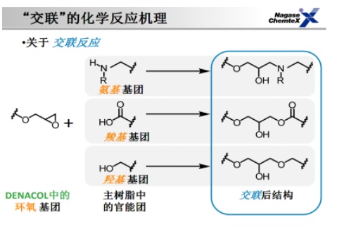 长濑集团DENACOL交联剂新品速递！-大厂动态|Chatplas|塑料在线