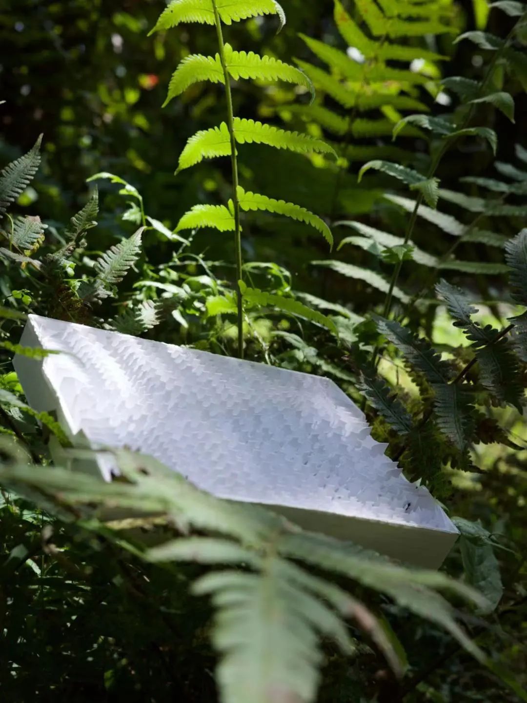 全球首发创新纸质柔性包装—Versafill记忆蜂窝，看宝洁可持续电商包装探索之-大厂动态|Chatplas|塑料在线