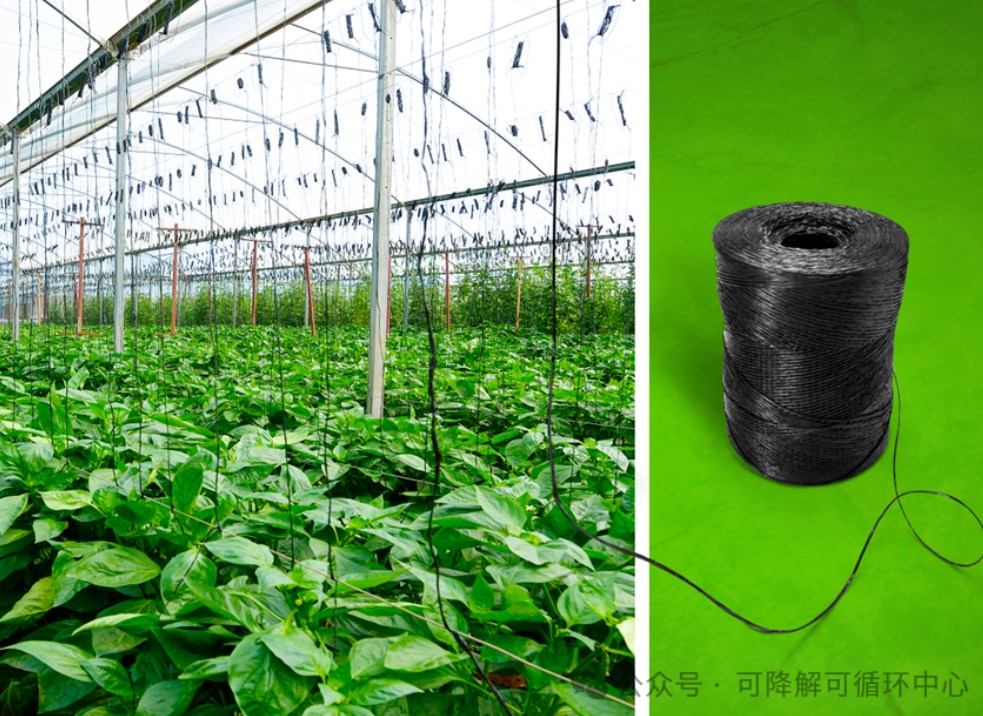巴斯夫推出新工业堆肥生物聚合物，用于制造吊蔓绳-大厂动态|Chatplas|塑料在线
