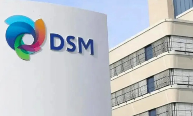 强强联手！帝斯曼+朗盛，Envalior公司正式成立！-大厂动态|Chatplas|塑料在线