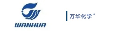 【盘点】十二家国内外知名的长碳链尼龙制造商-行业前沿|Chatplas|塑料在线