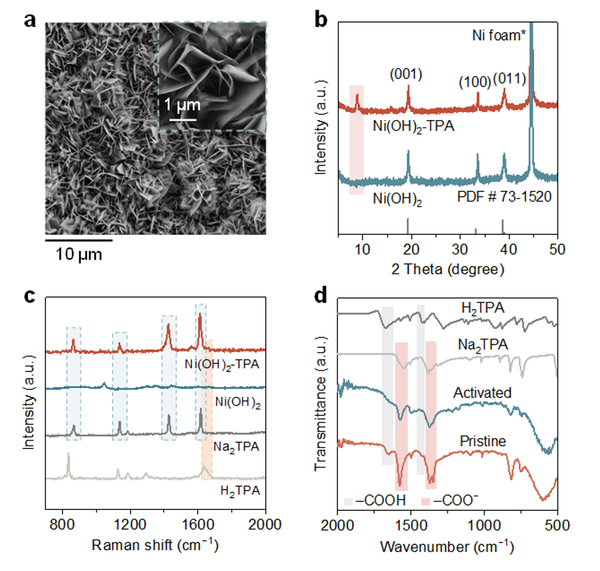 孙立成院士团队，FDCA新突破，2.1万/吨！-行业前沿|Chatplas|塑料在线
