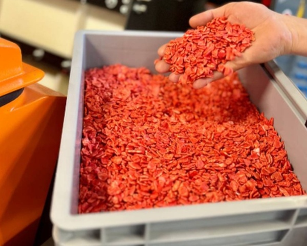 Grannex 斥资 2000 万欧元扩建德国工厂，机械回收年产能达 2 万吨-再生塑料|Chatplas|塑料在线