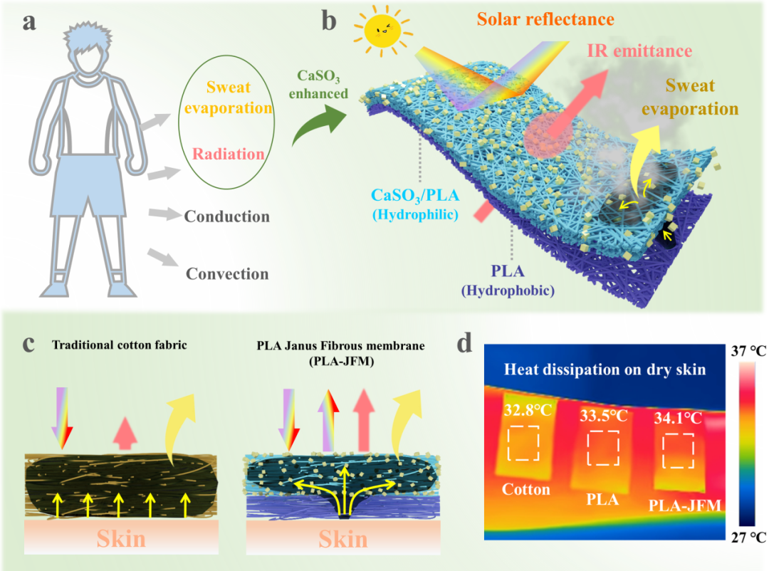 南京大学团队研发出可以高效被动制冷的 PLA纳米纤维膜-行业前沿|Chatplas|塑料在线