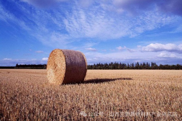万吨秸秆！制成纤维素聚乳酸（PLA），研究院新技术：成本再降30%以上！-行业前沿|Chatplas|塑料在线