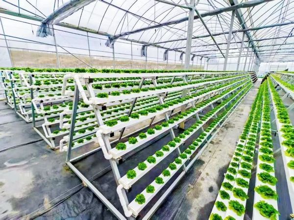 月度盘点丨2025年4月中国联塑重磅资讯回顾-大厂动态|Chatplas|塑料在线