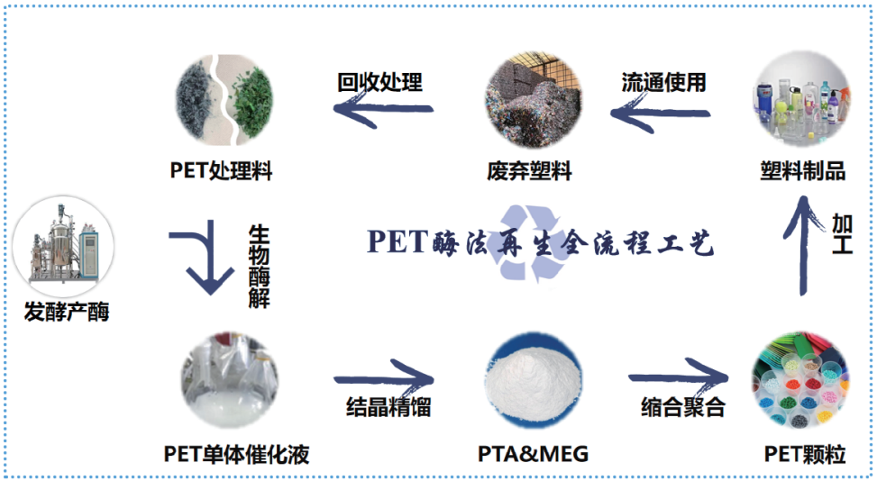 国内首家PET酶法再生企业，从实验室走向工业化！-大厂动态|Chatplas|塑料在线