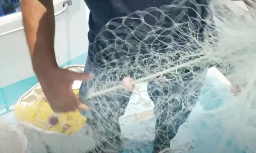 最新研究，PLA渔网比传统渔网降解快40倍！-行业前沿|Chatplas|塑料在线