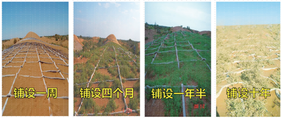 生物降解PLA沙袋沙障技术破解“三北”治沙难题-行业前沿|Chatplas|塑料在线