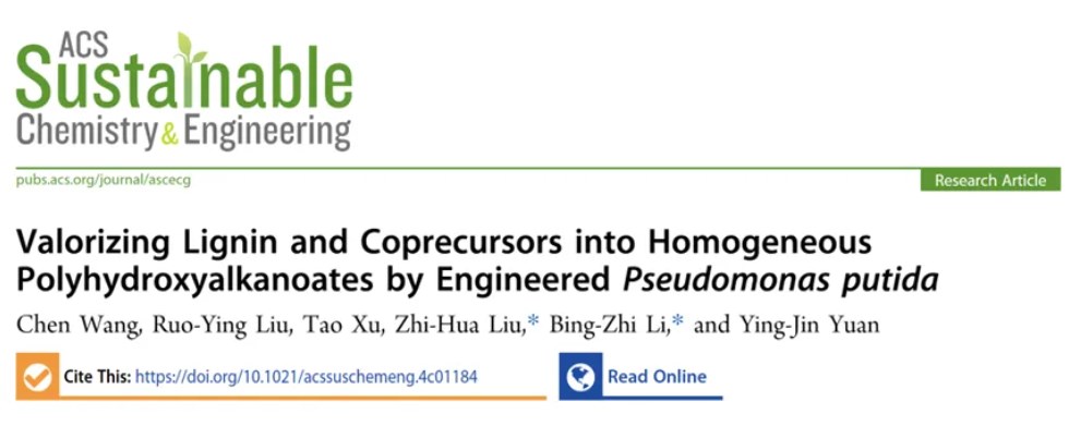 2.46g/L！天津大学团队，实现木质素高效转化高均质性PHA-行业前沿|Chatplas|塑料在线