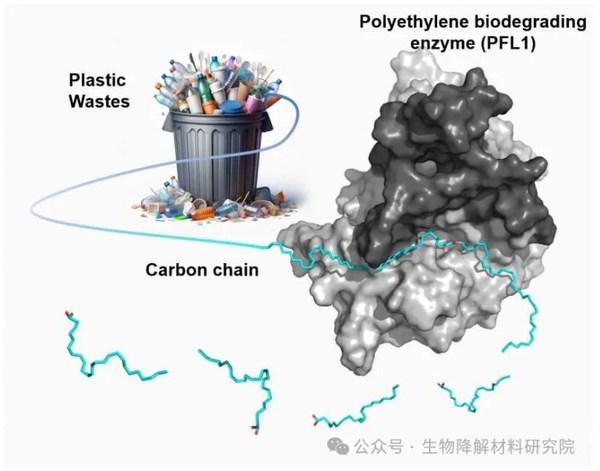 韩国，迈向能够分解PE的酶-行业前沿|Chatplas|塑料在线