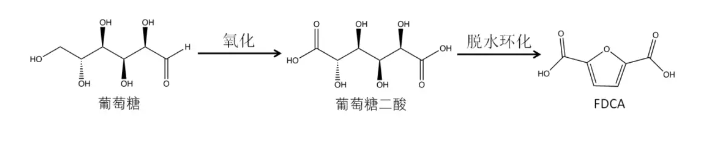 下一个千亿级市场规模化学品-生物基呋喃二甲酸（FDCA）？-可降解塑料|Chatplas|塑料在线