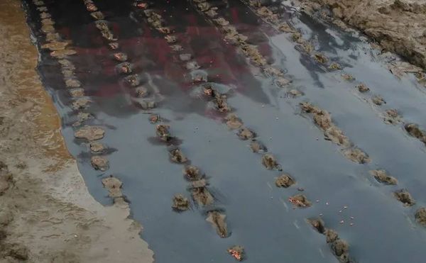 科普丨PPC+PBAT降解地膜-材料干货|Chatplas|塑料在线