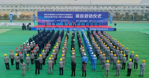 61亿！山东，又一个240万吨/年的生物基项目！-大厂动态|Chatplas|塑料在线