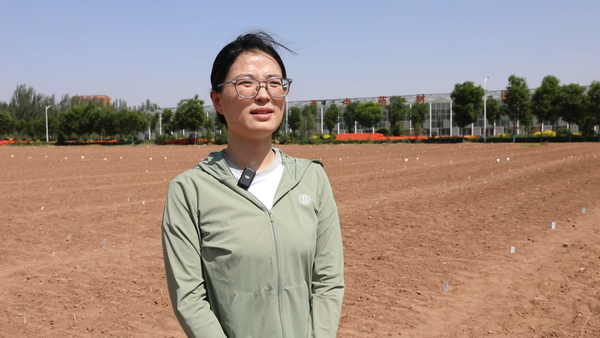 秸秆为原料，聚乳酸（PLA）全生物降解！地膜成本降低30%-大厂动态|Chatplas|塑料在线