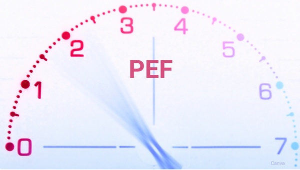 可媲美PET瓶、薄膜和纤维！PEF生物聚合物在欧美迎来三重利好-行业前沿|Chatplas|塑料在线