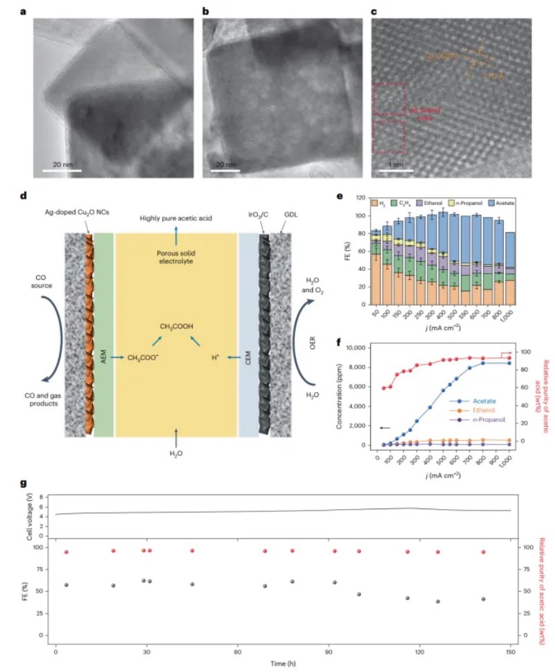 四校联手Nature Synthesis：CO→生物降解塑料！-行业前沿|Chatplas|塑料在线