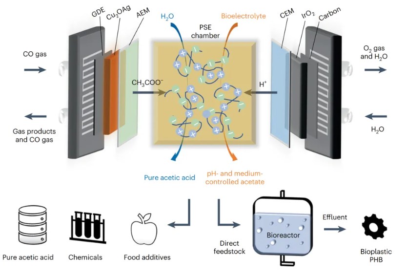 四校联手Nature Synthesis：CO→生物降解塑料！-行业前沿|Chatplas|塑料在线