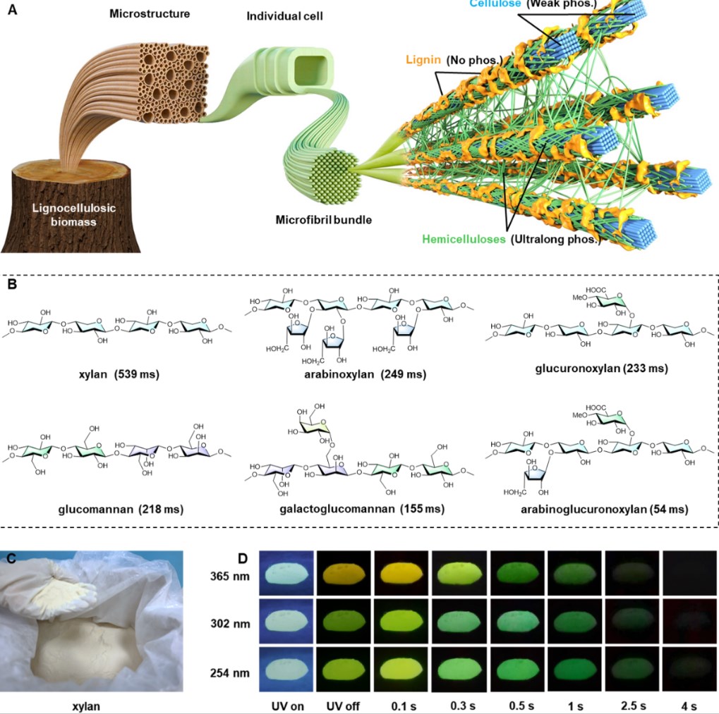 纳米纤维素的制备及其在复合材料中的应用-行业前沿|Chatplas|塑料在线