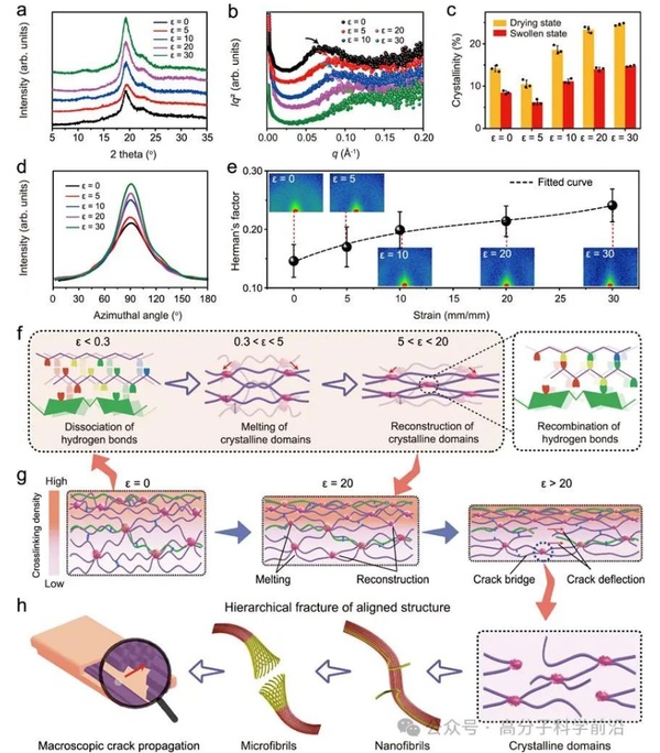 俞书宏院士团队等Nature：高强韧仿生多级取向结构异质芯-鞘水凝胶-行业前沿|Chatplas|塑料在线