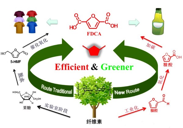 国际领先！中石油和工业联合会认定：生物基FDCA将会成为下一个千亿级市场规模单体-大厂动态|Chatplas|塑料在线