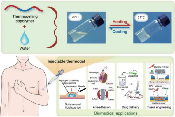 从医药到医械再到医美——两亲性PLA-PEG共聚物的自组装黑科技-材料干货|Chatplas|塑料在线