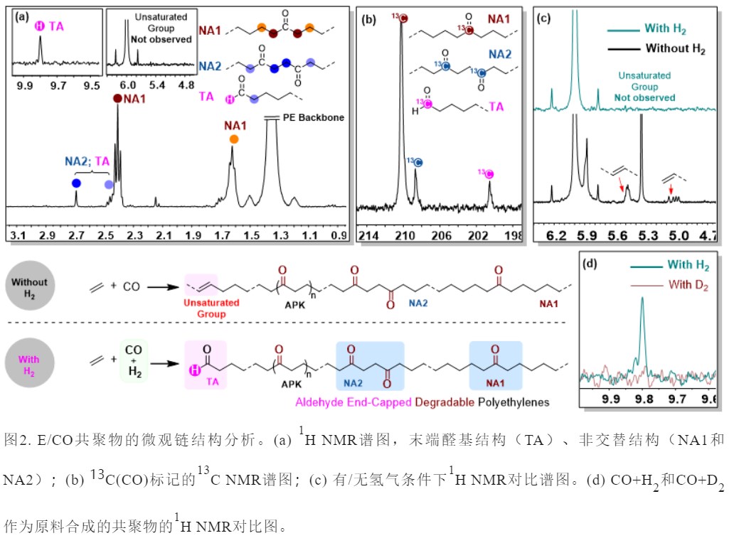 长春应化所简忠保课题组 Angew：“合成气”创制可降解PE-行业前沿|Chatplas|塑料在线