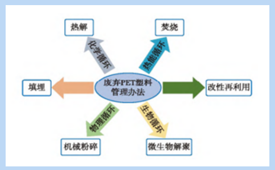 PET塑料的生物降解-行业前沿|Chatplas|塑料在线
