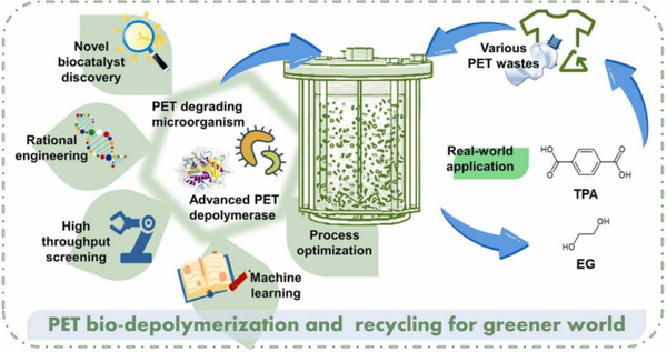 15名专家共同研发，PET生物解聚获重大突破-大厂动态|Chatplas|塑料在线
