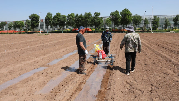 秸秆为原料，聚乳酸（PLA）全生物降解！地膜成本降低30%-大厂动态|Chatplas|塑料在线