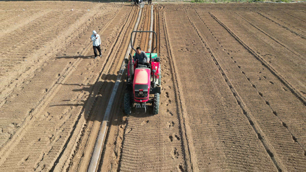 秸秆为原料，聚乳酸（PLA）全生物降解！地膜成本降低30%-大厂动态|Chatplas|塑料在线