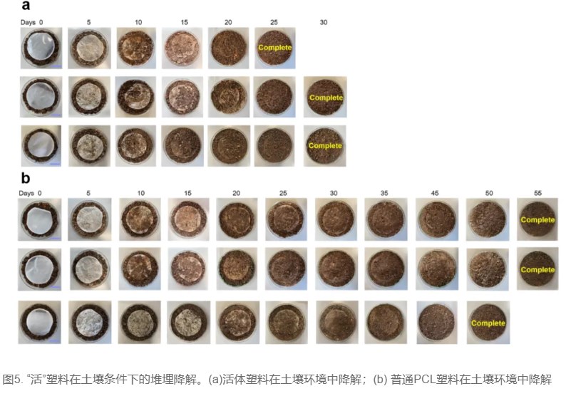 Nature子刊：中科院深圳先进院开发“活”塑料，利用合成生物学助力塑料降解-行业前沿|Chatplas|塑料在线