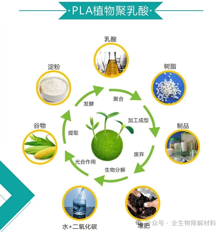 聚乳酸PLA可降解材料：2024年的现状与未来展望...-行业前沿|专塑视界|塑料在线
