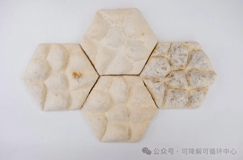 中石化：生物材料新布局！北化院自主研发可降解PBST，生物基聚烯烃、PCL-大厂动态|Chatplas|塑料在线