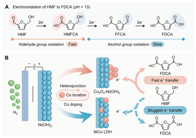 孙立成院士团队新突破：HMF氧化活性提升106%，FDCA、FAC产率近100%-行业前沿|Chatplas|塑料在线