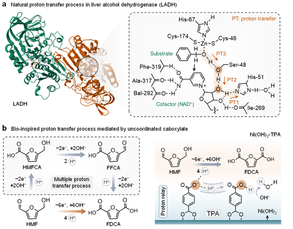 孙立成院士团队，FDCA新突破，2.1万/吨！-行业前沿|Chatplas|塑料在线