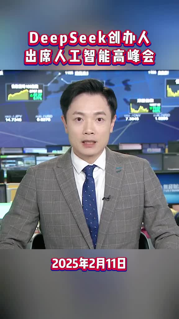 deepseek创始人出席人工智能高峰会-塑料视频在线看|Chatplas