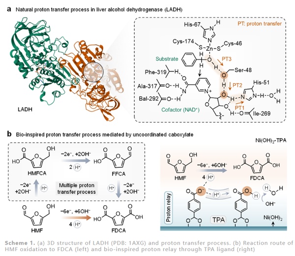 大幅降低FDCA成本！西湖大学团队开发高效HMF氧化催化剂-行业前沿|Chatplas|塑料在线