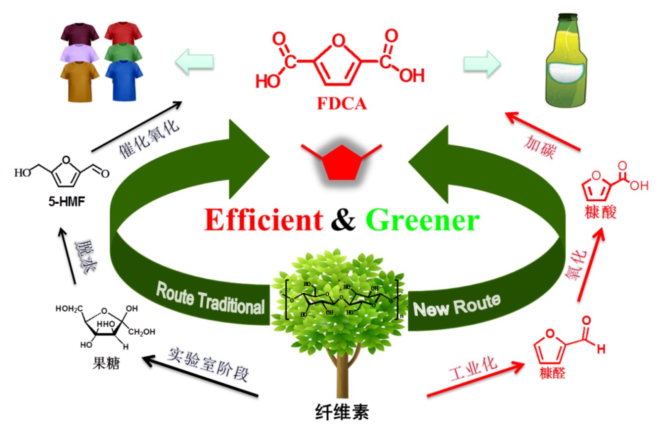 多布局举措并行！LG生物基产业进展盘点-行业前沿|Chatplas|塑料在线