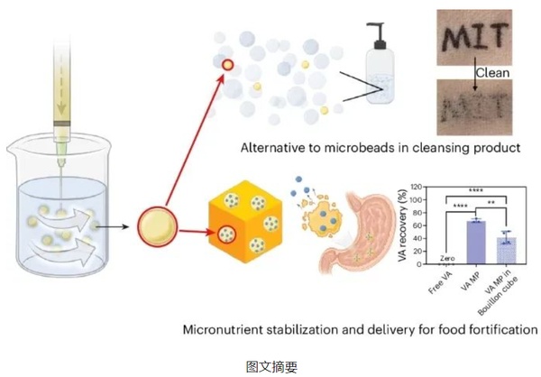 麻省理工Nature重磅发文！新型可降解材料可取代微塑料用于食品强化和清洁产品-大厂动态|Chatplas|塑料在线