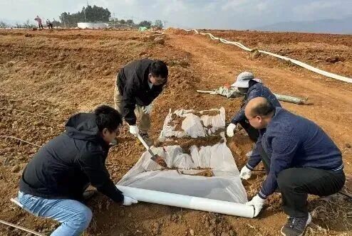 秸秆地膜，增产10%—15%？降解时间精准可控-可降解塑料|Chatplas|塑料在线