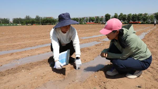 秸秆为原料，聚乳酸（PLA）全生物降解！地膜成本降低30%-大厂动态|Chatplas|塑料在线