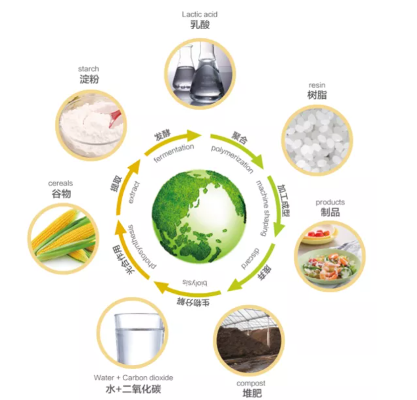 小材料，大应用！一文了解聚乳酸（PLA）生物降解塑料改性技术及产业化进展-材料干货|Chatplas|塑料在线
